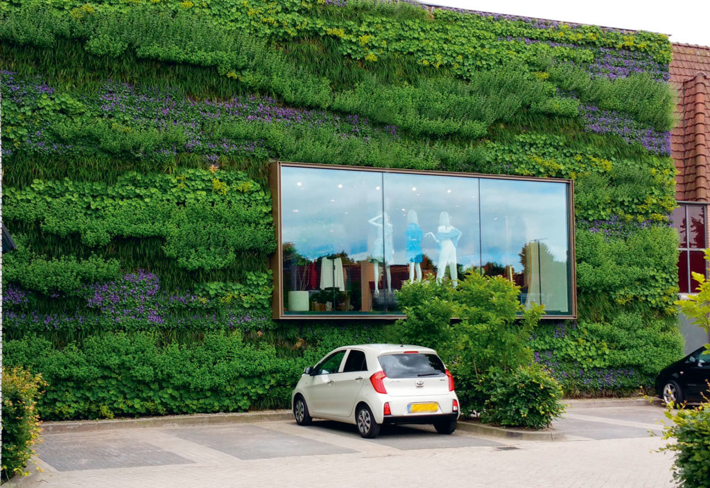 Tuin en Landschap 18: Groene gevels