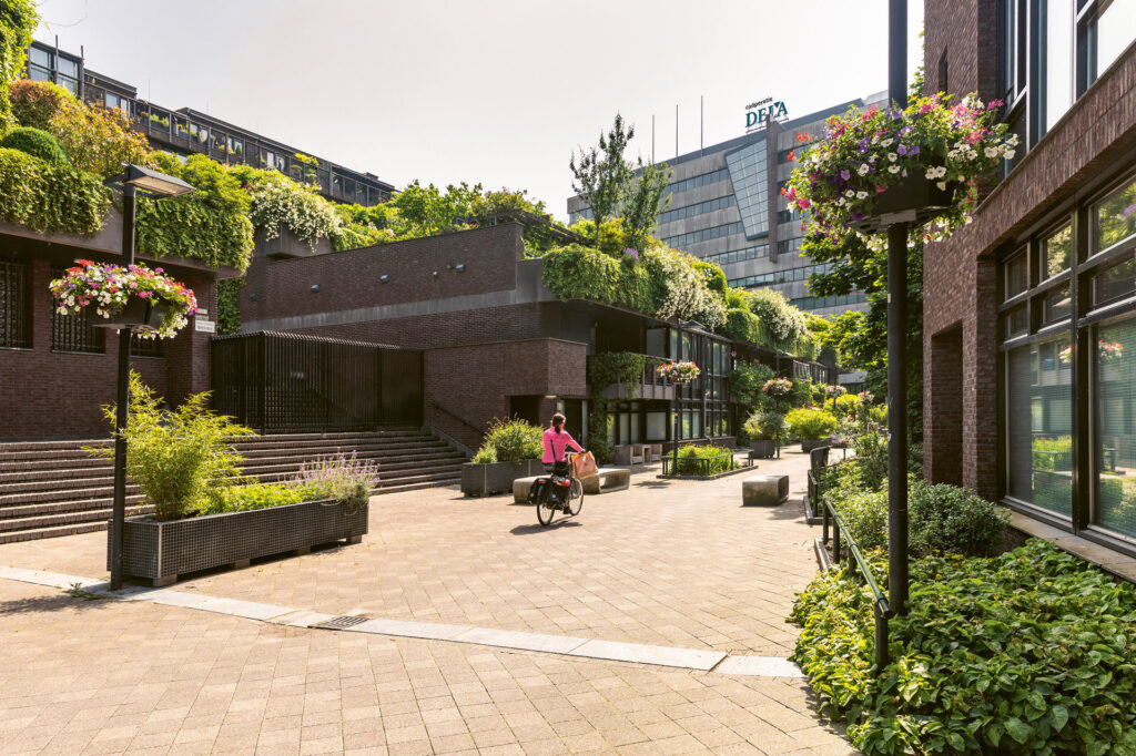 Tuin en Landschap 14/15: Veerkrachtige tuinen