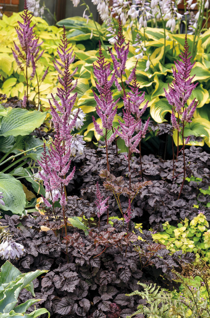 Tuin en Landschap 3: Meelfabriektuin Leiden