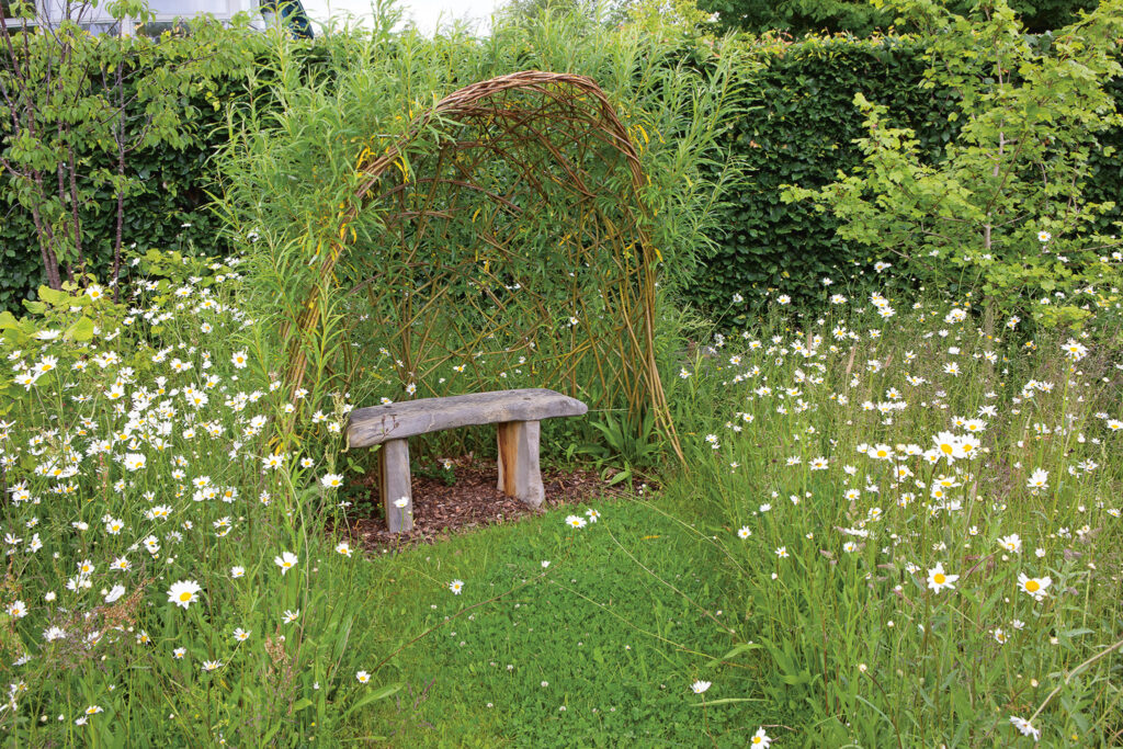 Tuin en Landschap 19: Special Inheemse struiken