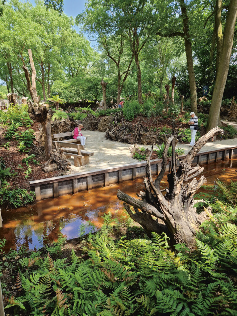 Tuin en Landschap 21: Fern Craze herleeft in Varenvallei